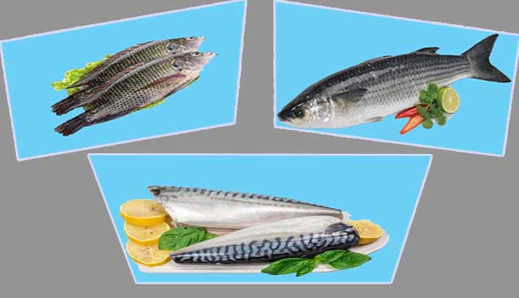 طريقة عمل السمك السنجاري بالخلطة الرائعة اجعليه على سفرتك في رمضان 2022